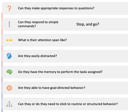 Assessing a participant with cognitive delays – Diana Proemm